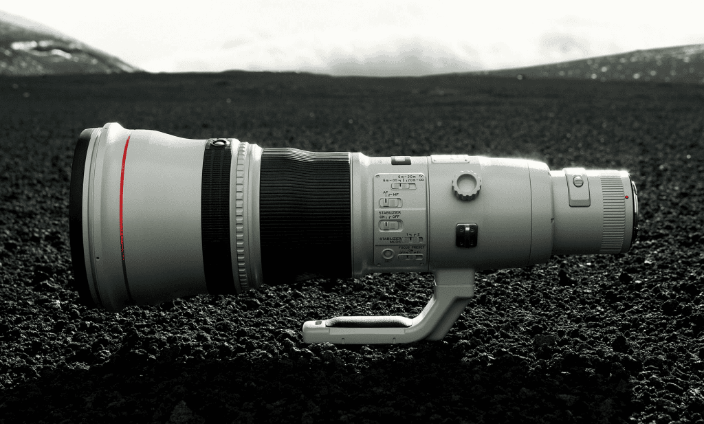 EOS R7 + EF800mm F5.6L IS USM モズ、シジュウカラ | 近江猫屋敷