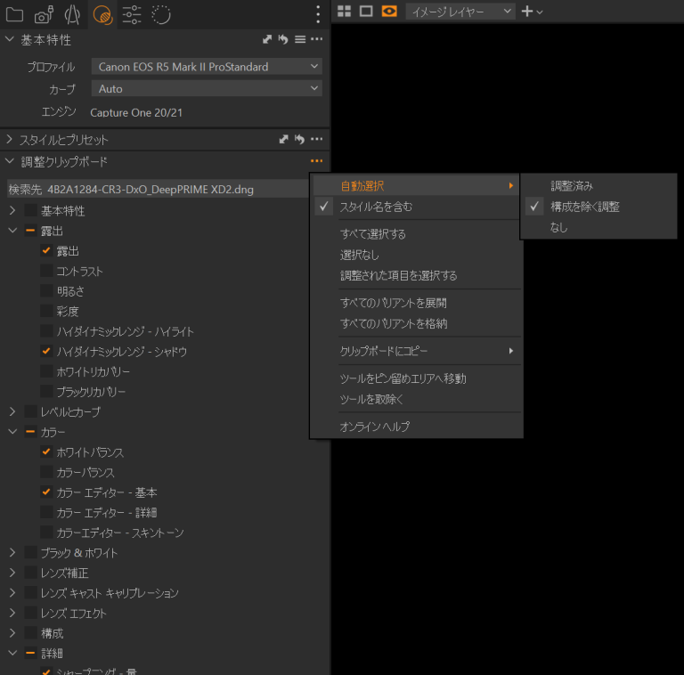 EOS R5 mark IIで野鳥撮影 DxO PureRAW+CaptureOneでのRAW現像(初心者向け) | 近江猫屋敷